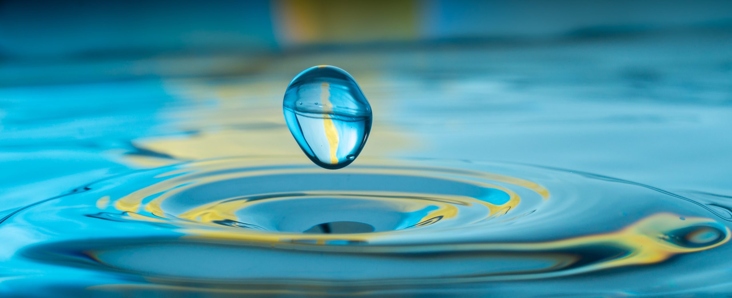 Redesigning our Identity, Creating our Collective Self - PROOFZINE